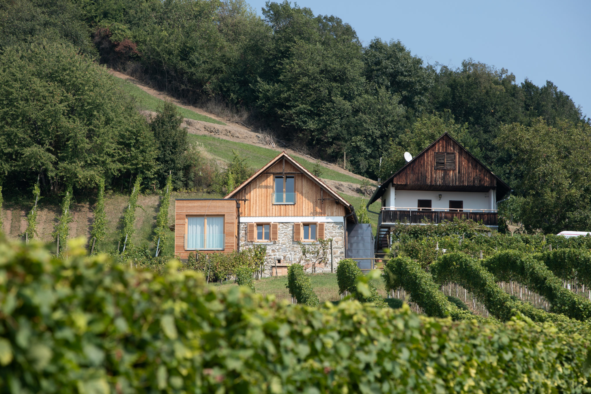 Ferienhaus Steiermark Mit Hund